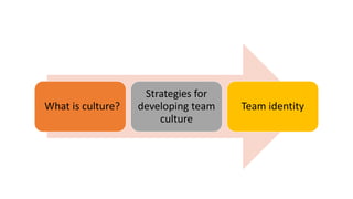 Developing Team Culture | PPTX