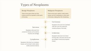 Neoplasia and cancer for pathology students | PDF