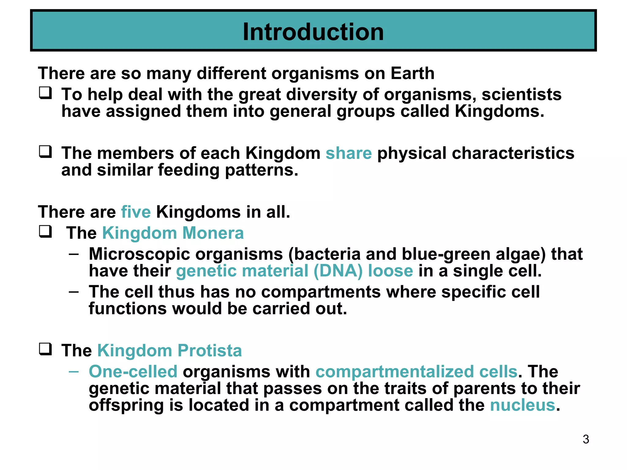 Unit6 animalkingdom-120406055257-phpapp02 | PPT