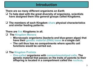 Unit6 animal kingdom | PPT