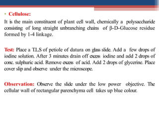 Unit 6 - Cell wall composition and cell inclusions.pptx