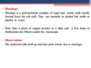 Unit 6 - Cell wall composition and cell inclusions.pptx