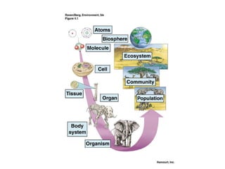 Unit6 ecosystems | PPT