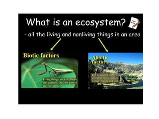 Unit6 ecosystems | PPT | Free Download