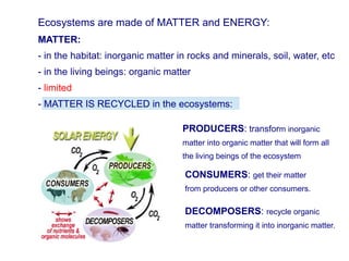 Unit6 ecosystems | PPT | Free Download