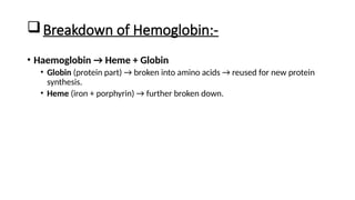 Unit 6- Heme Catabolism.pptx............ | PPTX