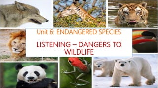 Unit 6 listening - gr12 - endangered species | PPTX