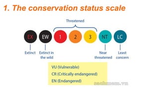 Unit 6 listening - gr12 - endangered species | PPT
