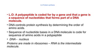 Unit 6- nucleic acid and protein synthesis.pptx