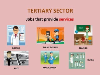 Tertiary Industry Jobs