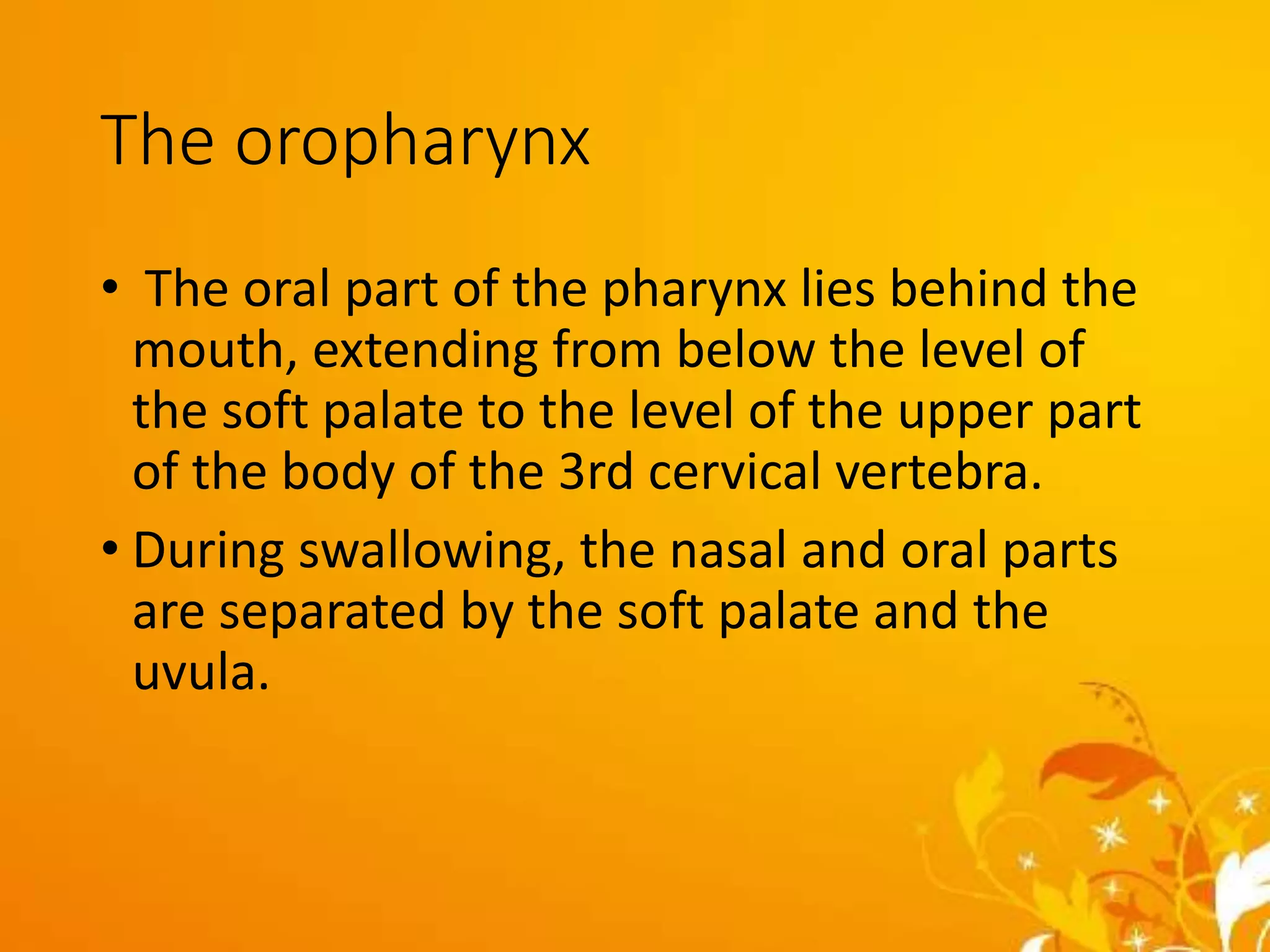 UNIT 6-respiratory system for Gnm and b.sc. nursing | PPTX