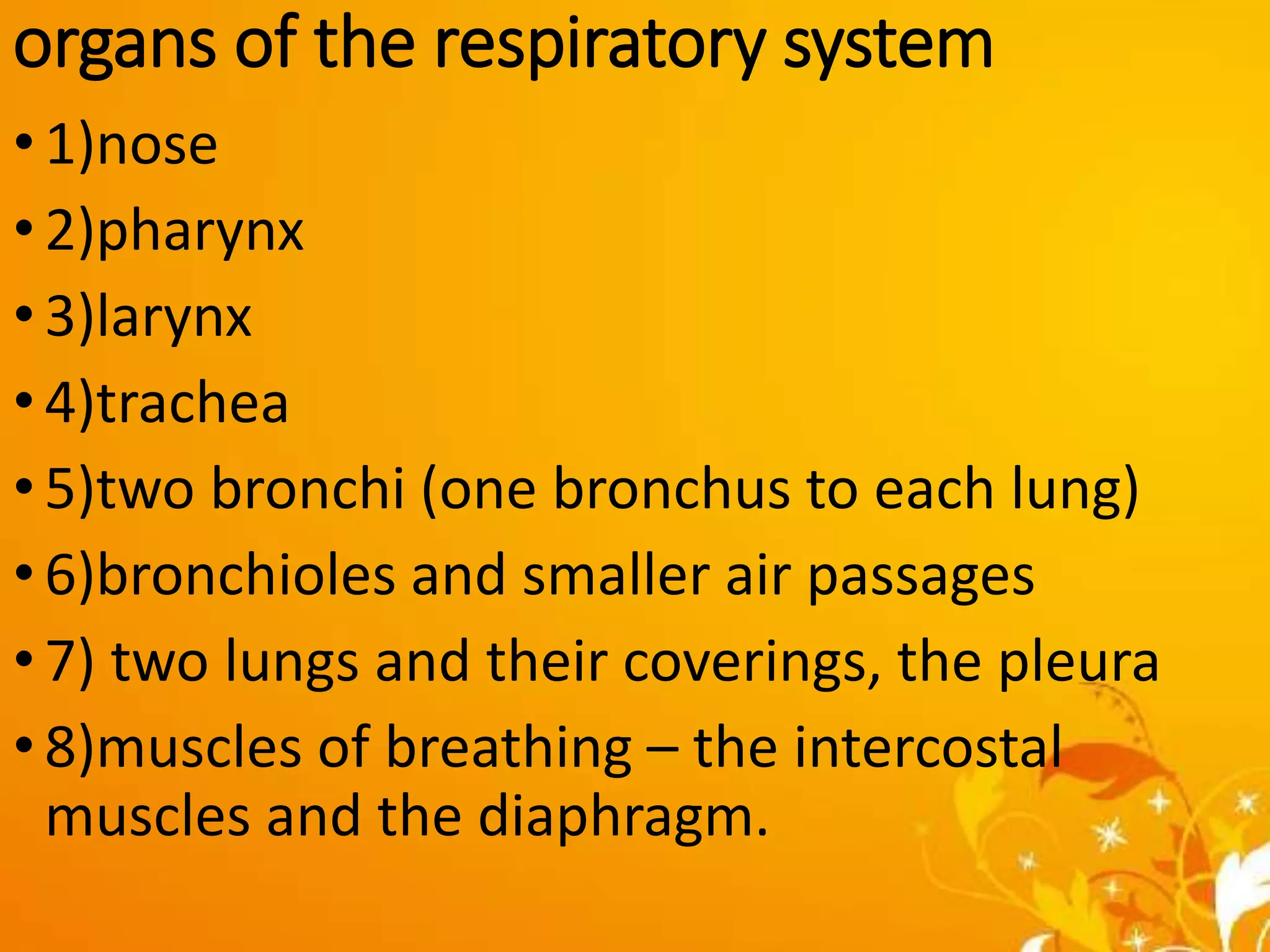 UNIT 6-respiratory system for Gnm and b.sc. nursing | PPTX