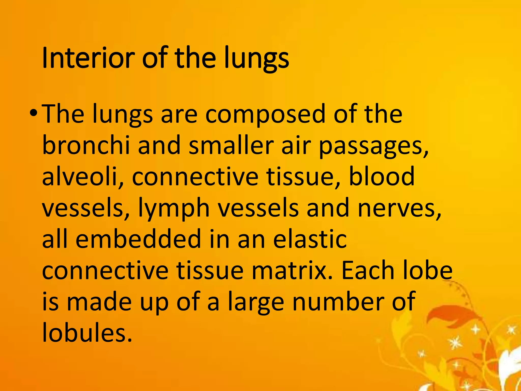 UNIT 6-respiratory system for Gnm and b.sc. nursing | PPTX