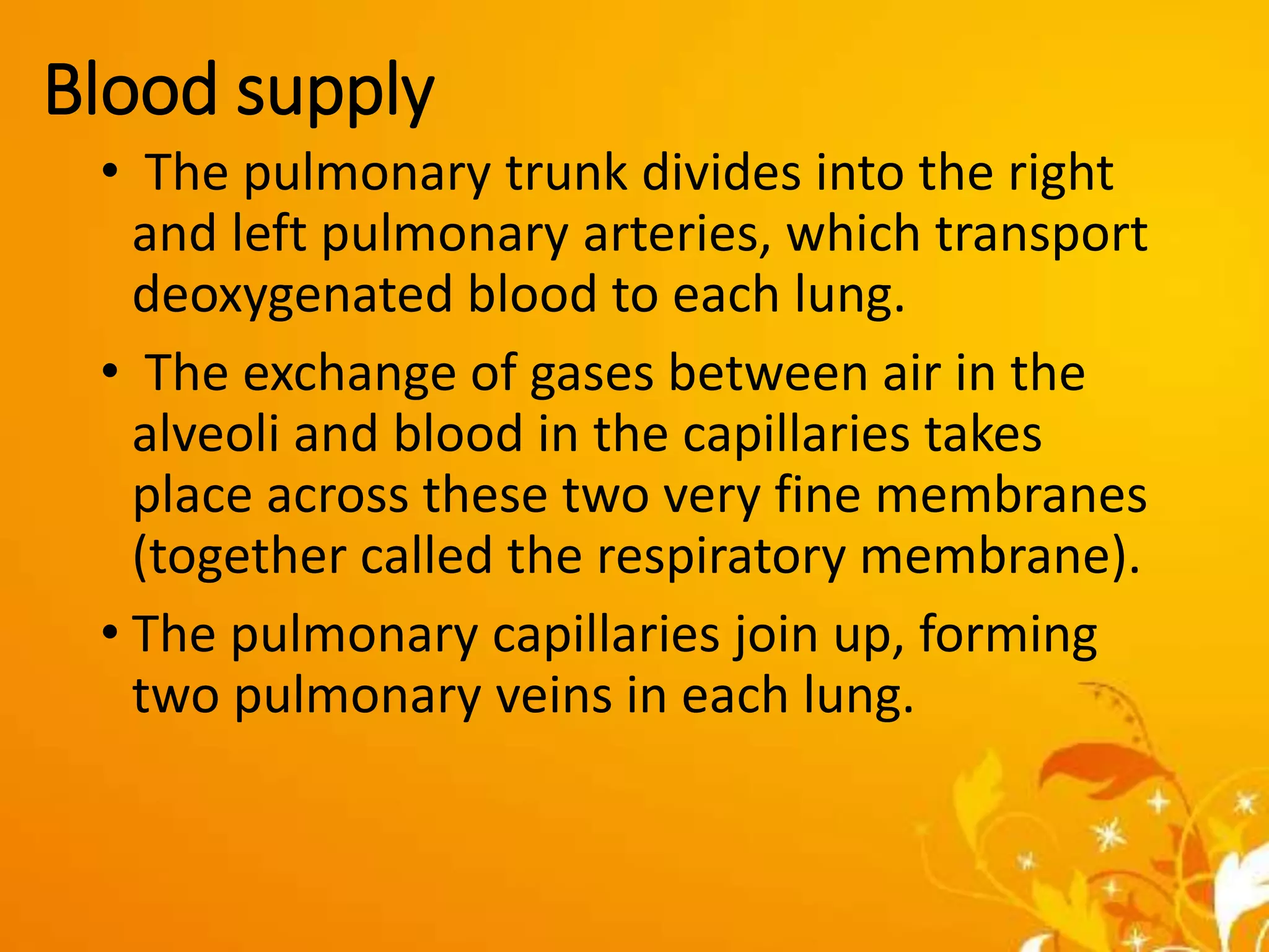 UNIT 6-respiratory system for Gnm and b.sc. nursing | PPTX