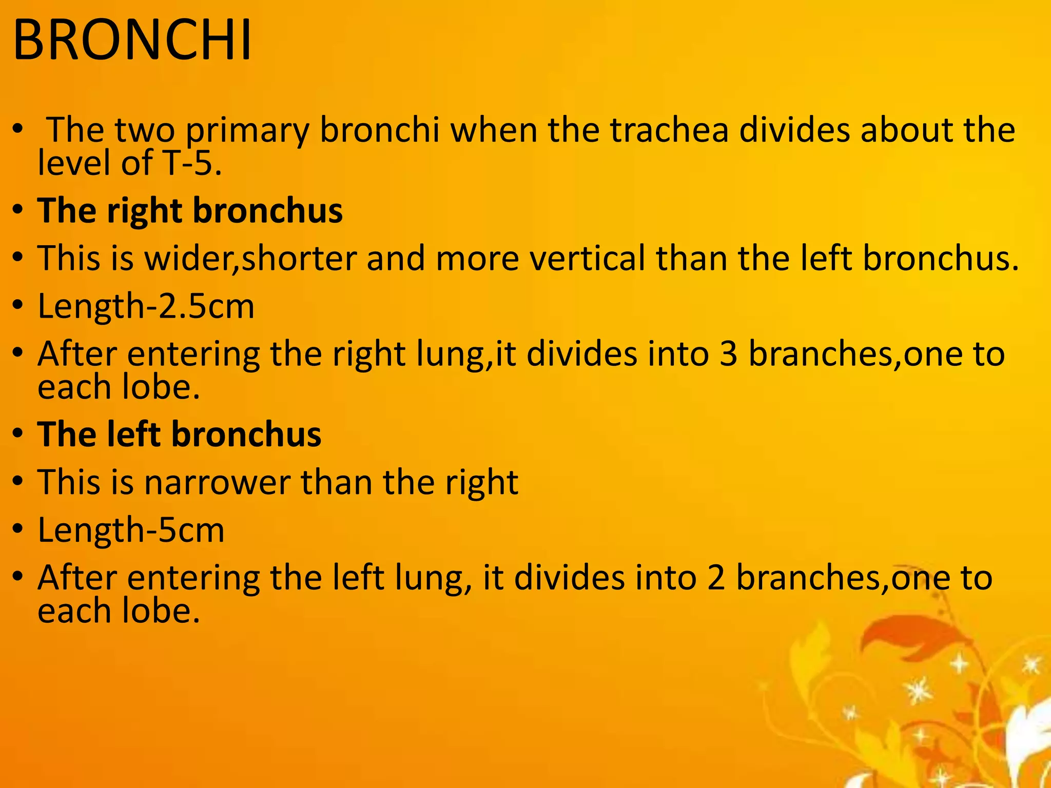 UNIT 6-respiratory system for Gnm and b.sc. nursing | PPTX