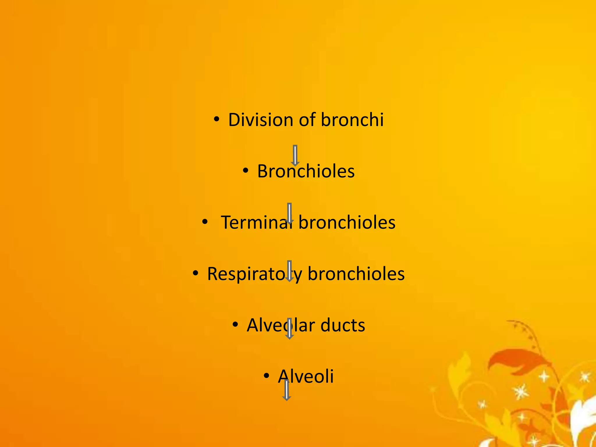 UNIT 6-respiratory system for Gnm and b.sc. nursing | PPTX