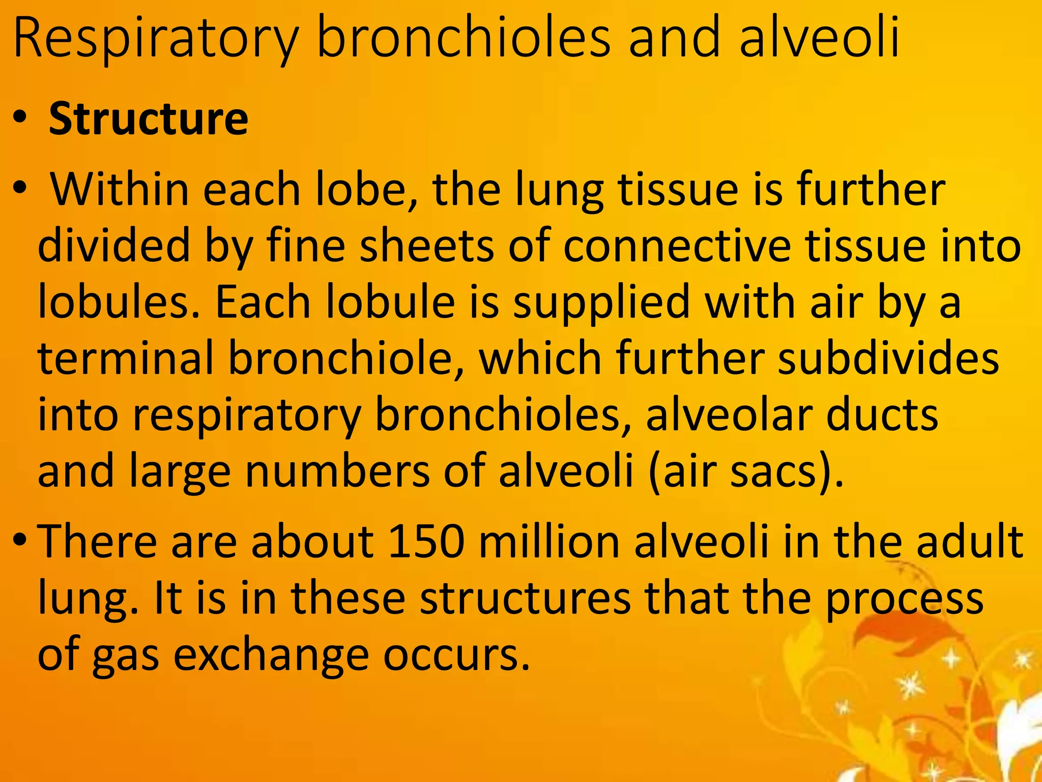 UNIT 6-respiratory system for Gnm and b.sc. nursing | PPTX