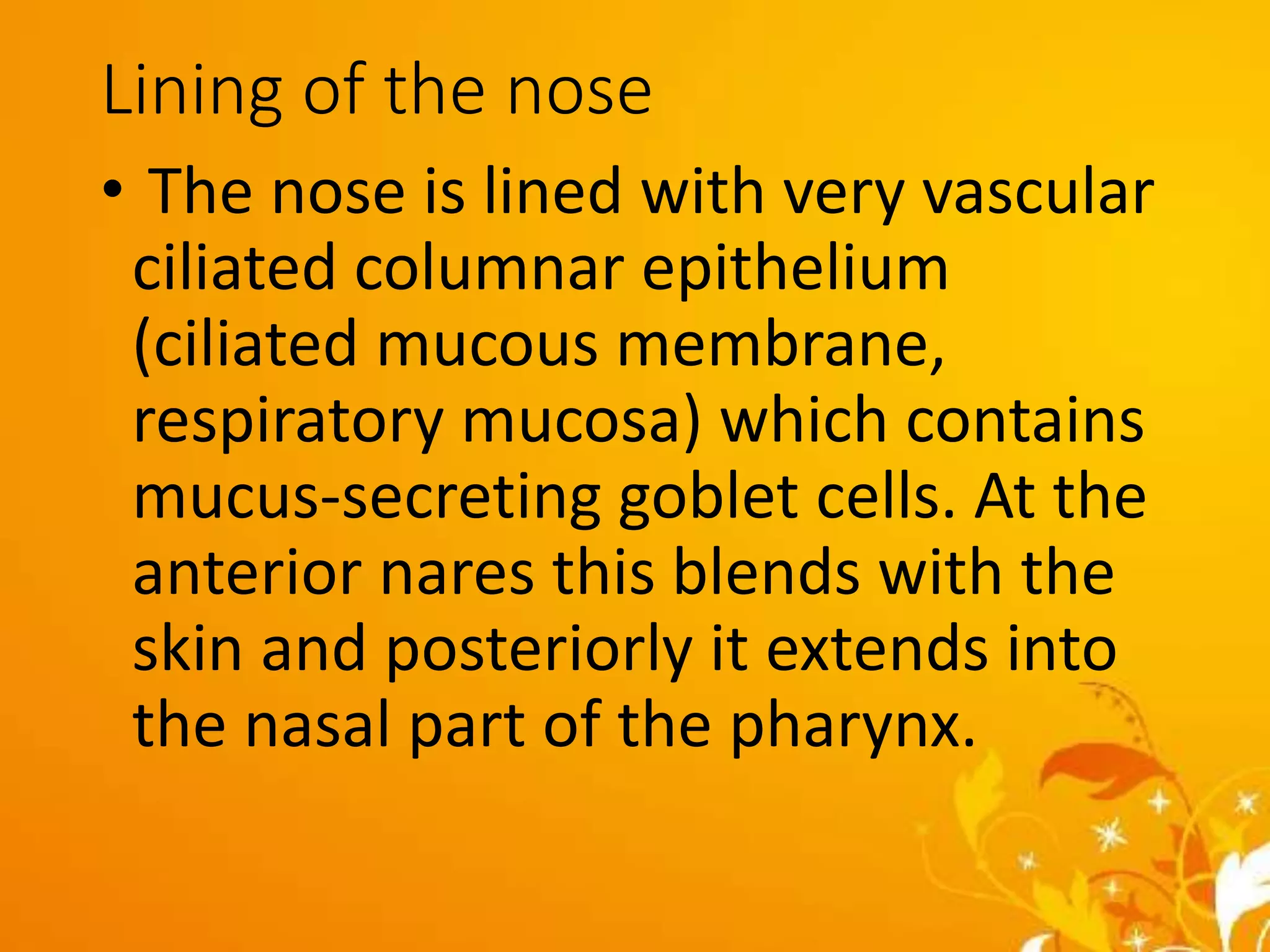 UNIT 6-respiratory system for Gnm and b.sc. nursing | PPTX