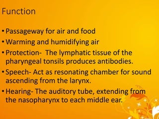 UNIT 6-respiratory system for Gnm and b.sc. nursing | PPTX