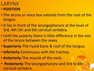 UNIT 6-respiratory system for Gnm and b.sc. nursing | PPTX