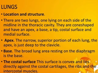UNIT 6-respiratory system for Gnm and b.sc. nursing | PPTX