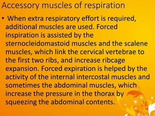 UNIT 6-respiratory system for Gnm and b.sc. nursing | PPTX