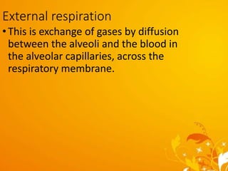 UNIT 6-respiratory system for Gnm and b.sc. nursing | PPTX