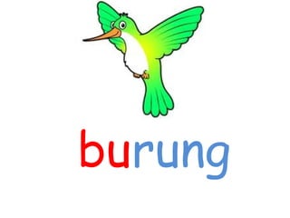 Unit 6 bangau | PPT