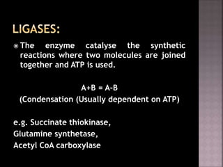 Enzymes | PPTX