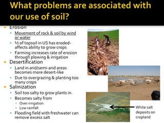 Unit 6 ch 15 s2 crops & soil | PPT