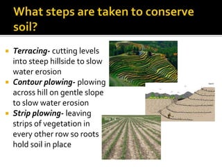 Unit 6 ch 15 s2 crops & soil | PPT