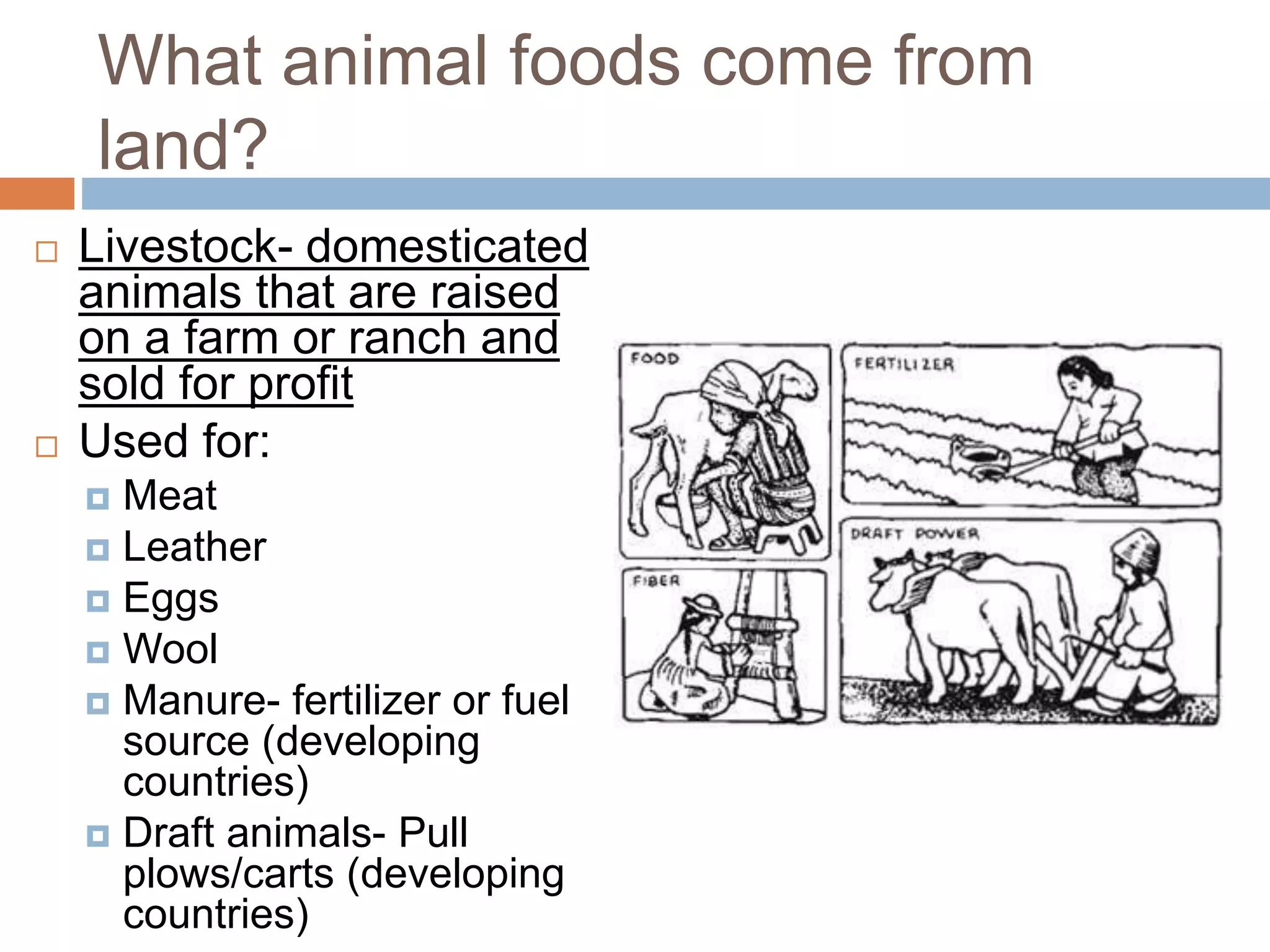 Unit 6 ch 15 s3 animals & agriculture | PPTX