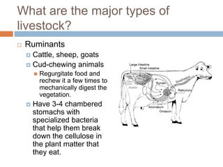 Unit 6 ch 15 s3 animals & agriculture | PPTX