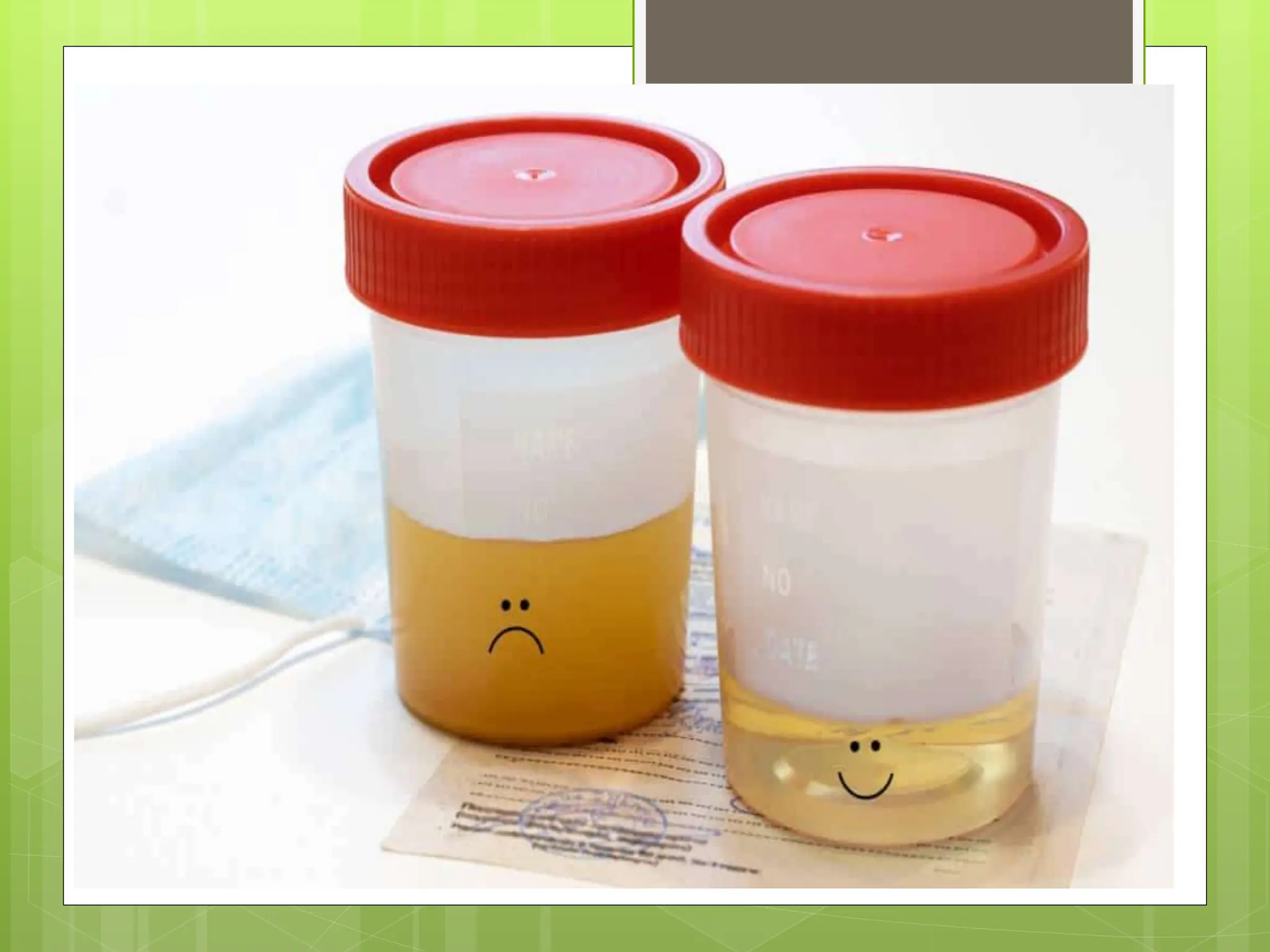 Diagnostic testing unit 6 | PPTX