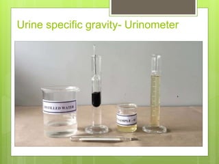 Diagnostic testing unit 6 | PPTX