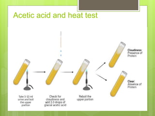 Diagnostic testing unit 6 | PPTX