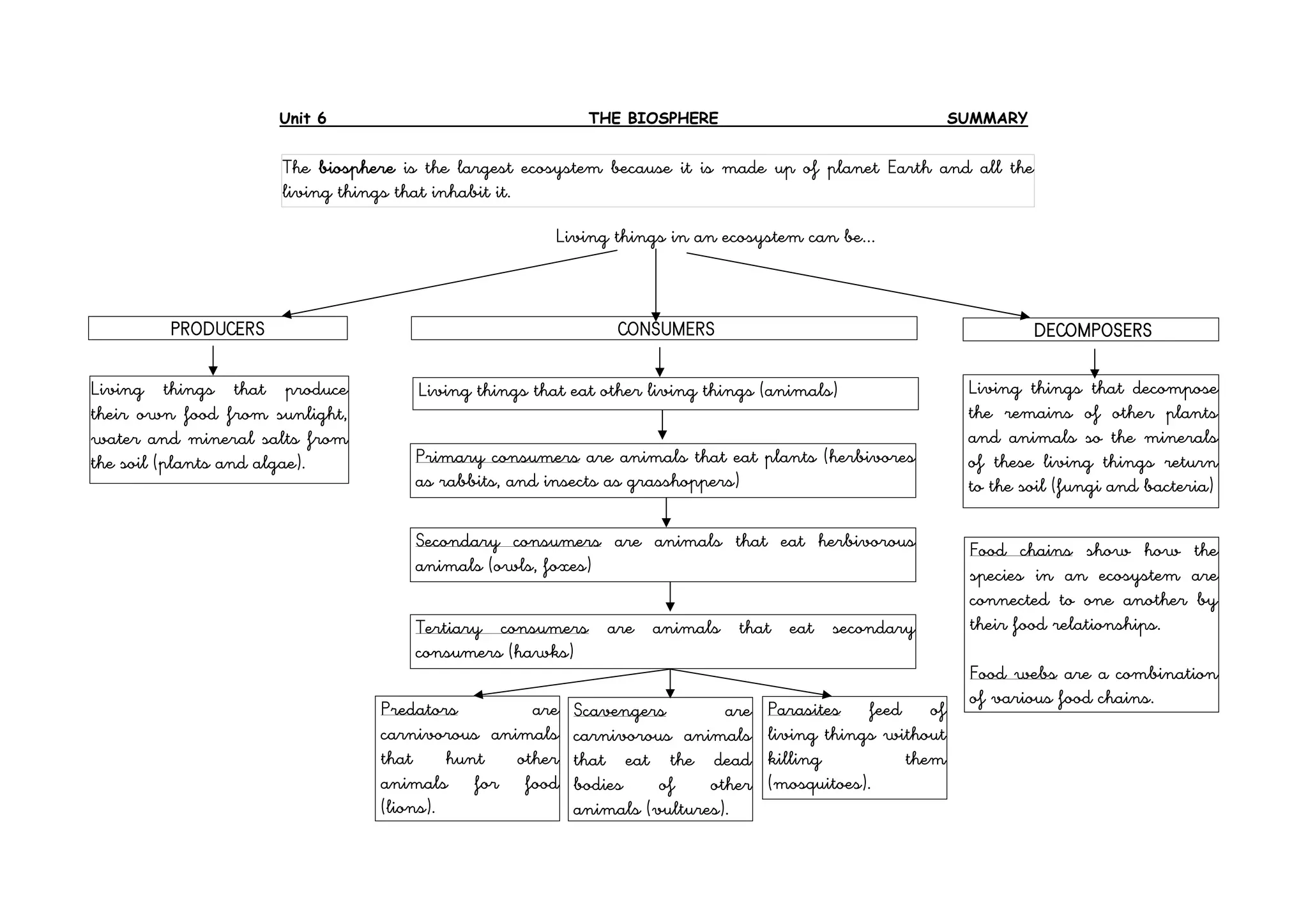 Unit 6 diagram (1) | PPT