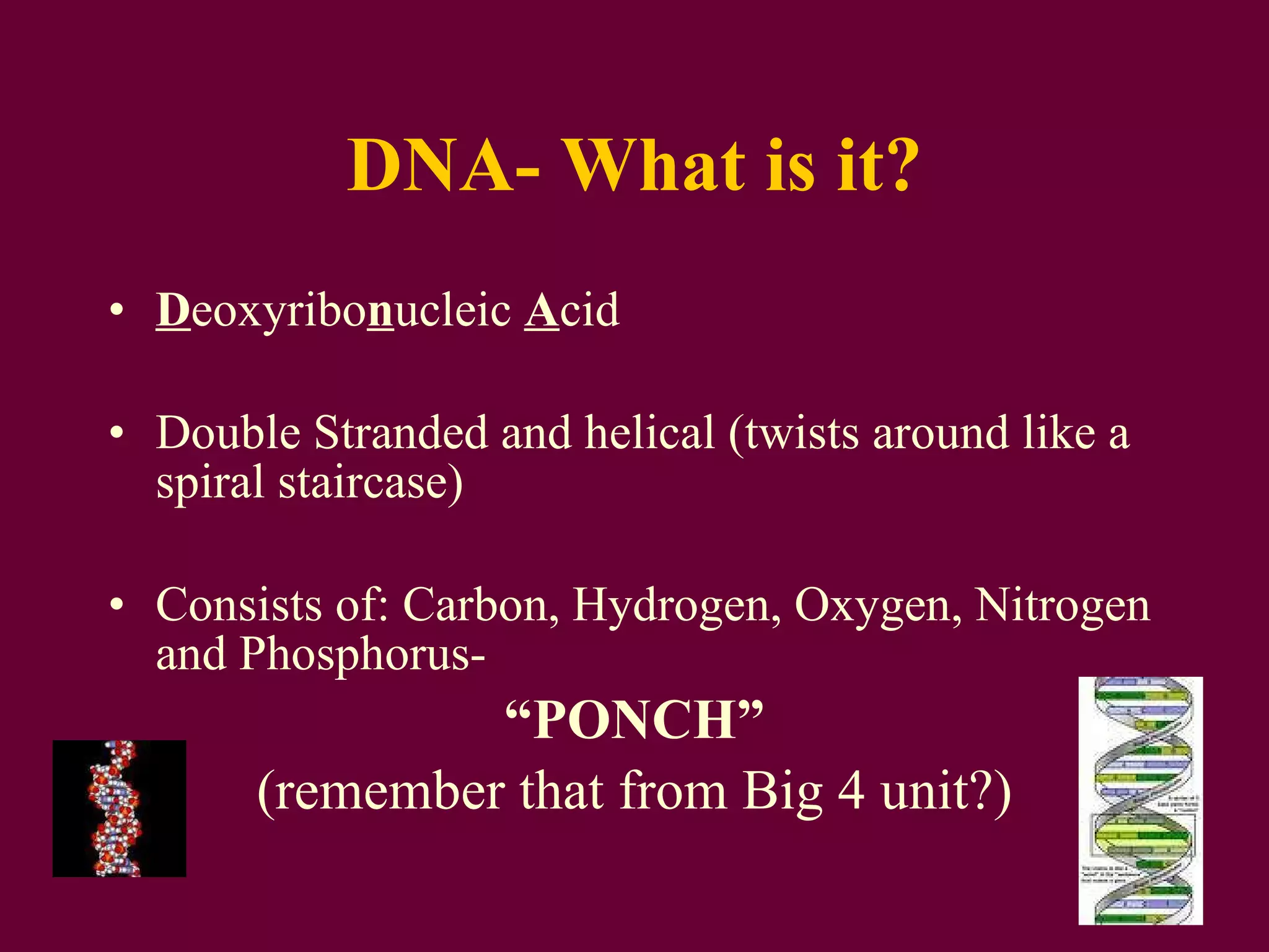 Unit 6 dna powerpoint(revised2006) | PPT