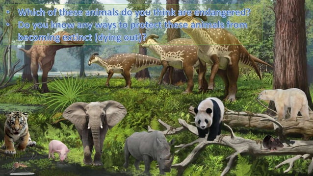 Unit 6 Endangered species Lesson 1 Getting started.pptx