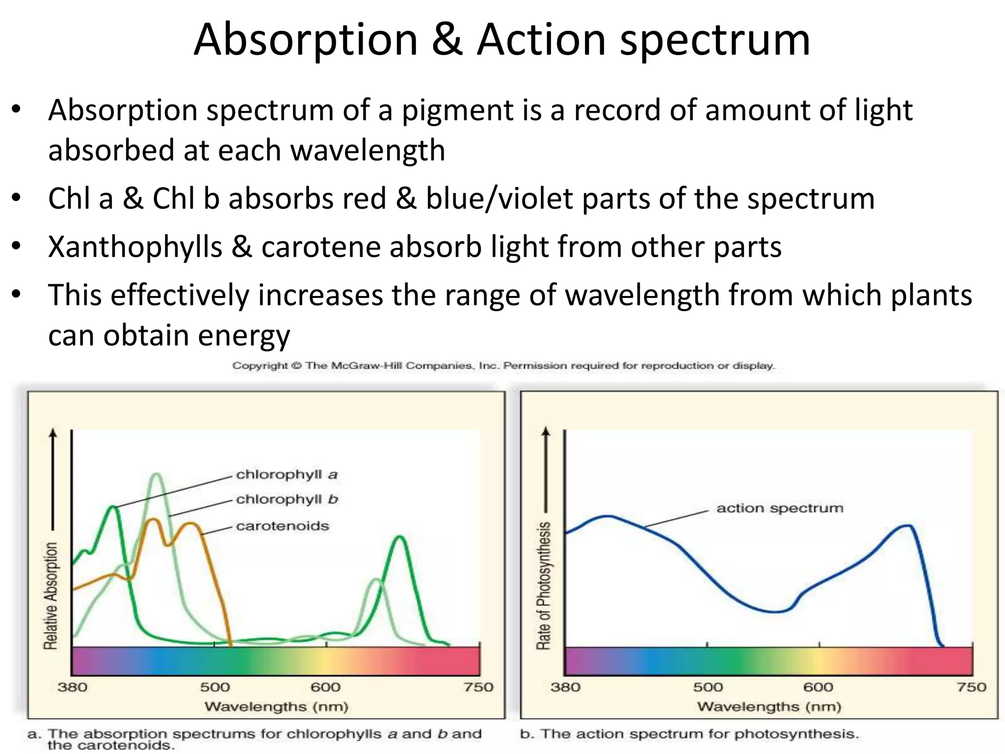Unit 6 energy, respiration and photosynthesis A Level | PPTX