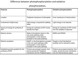 Photophosphorylation Vs Oxidative Phosphorylation