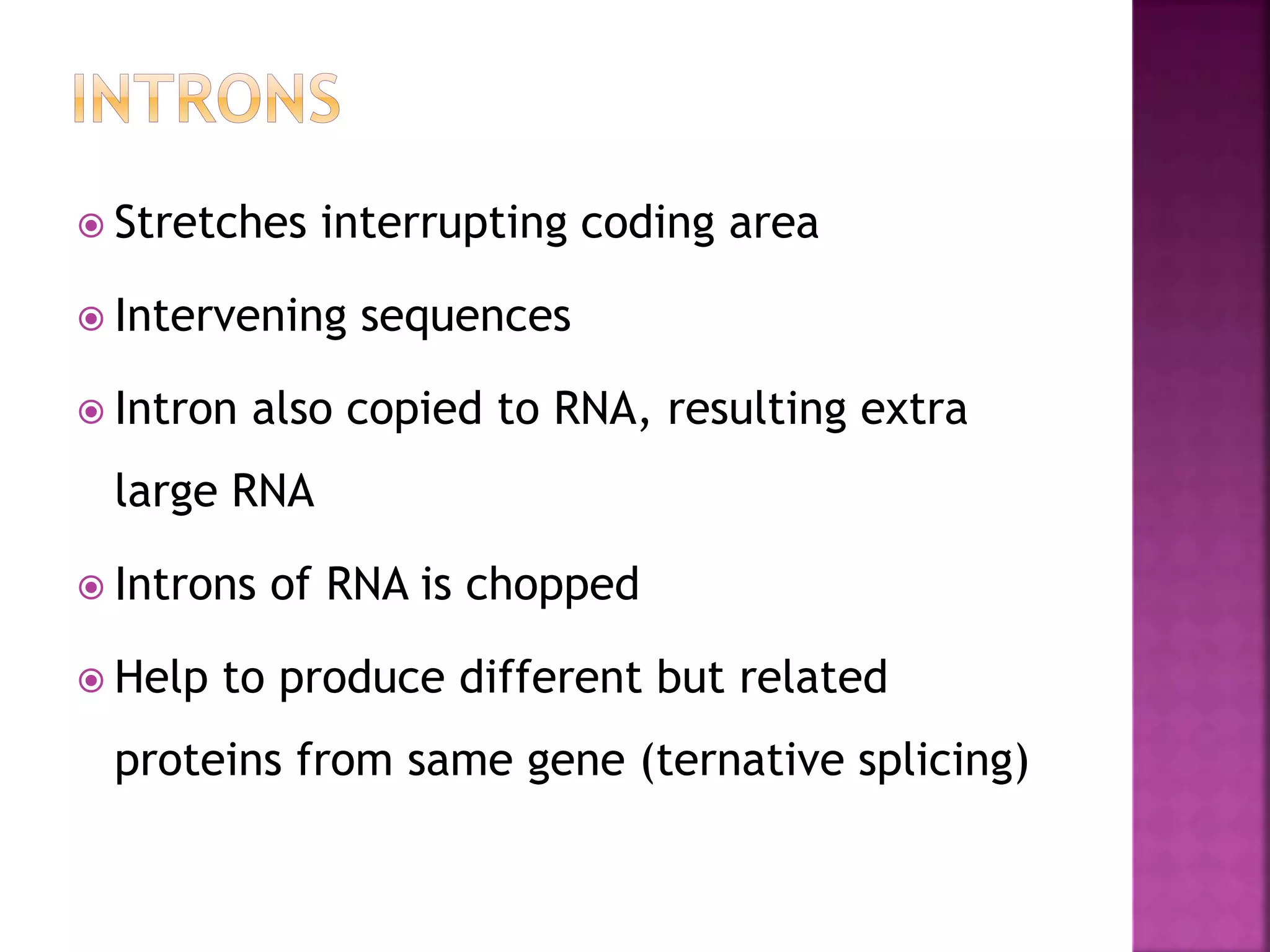 eukaryotic gene structure | PPTX