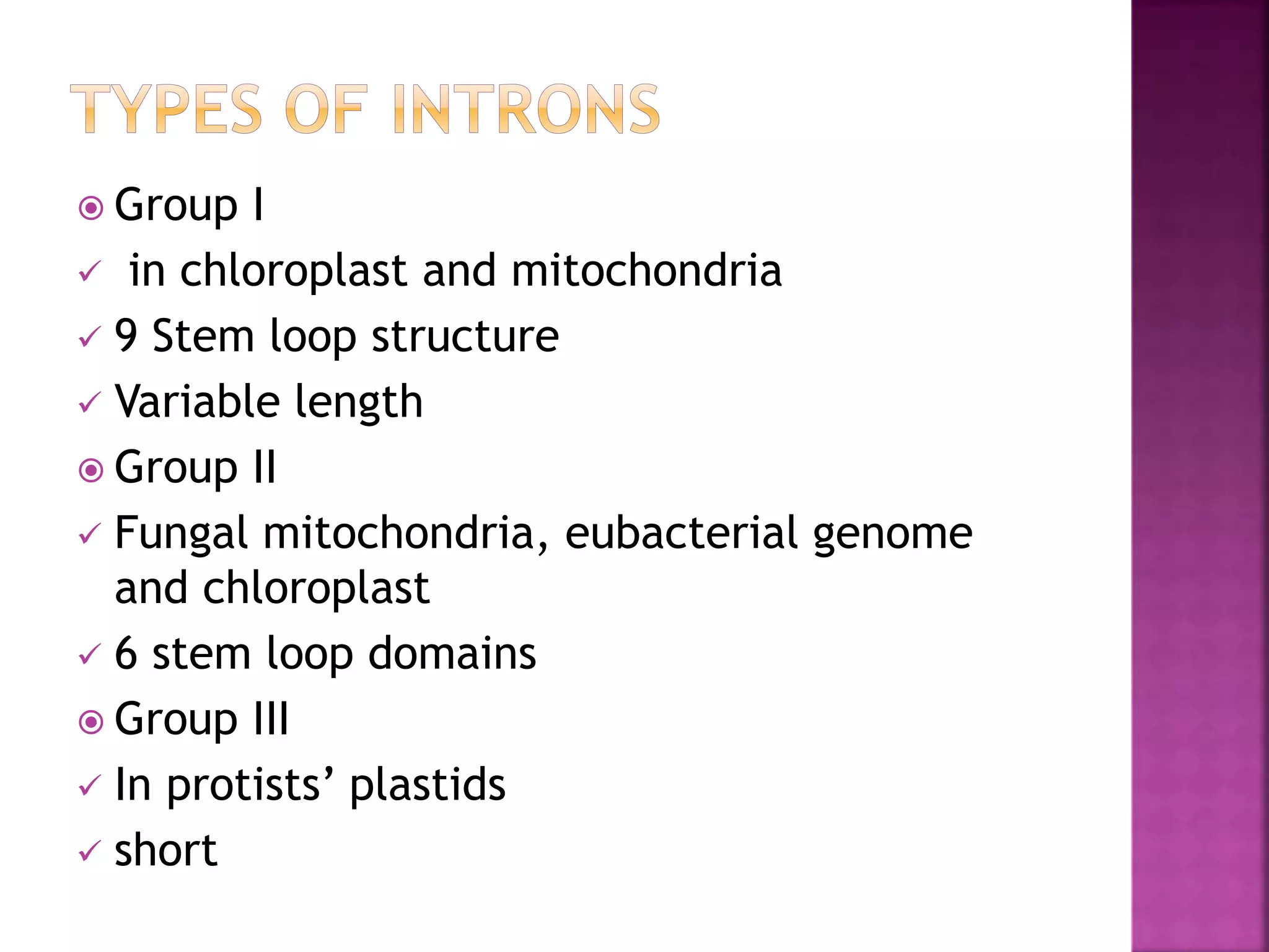 eukaryotic gene structure | PPTX