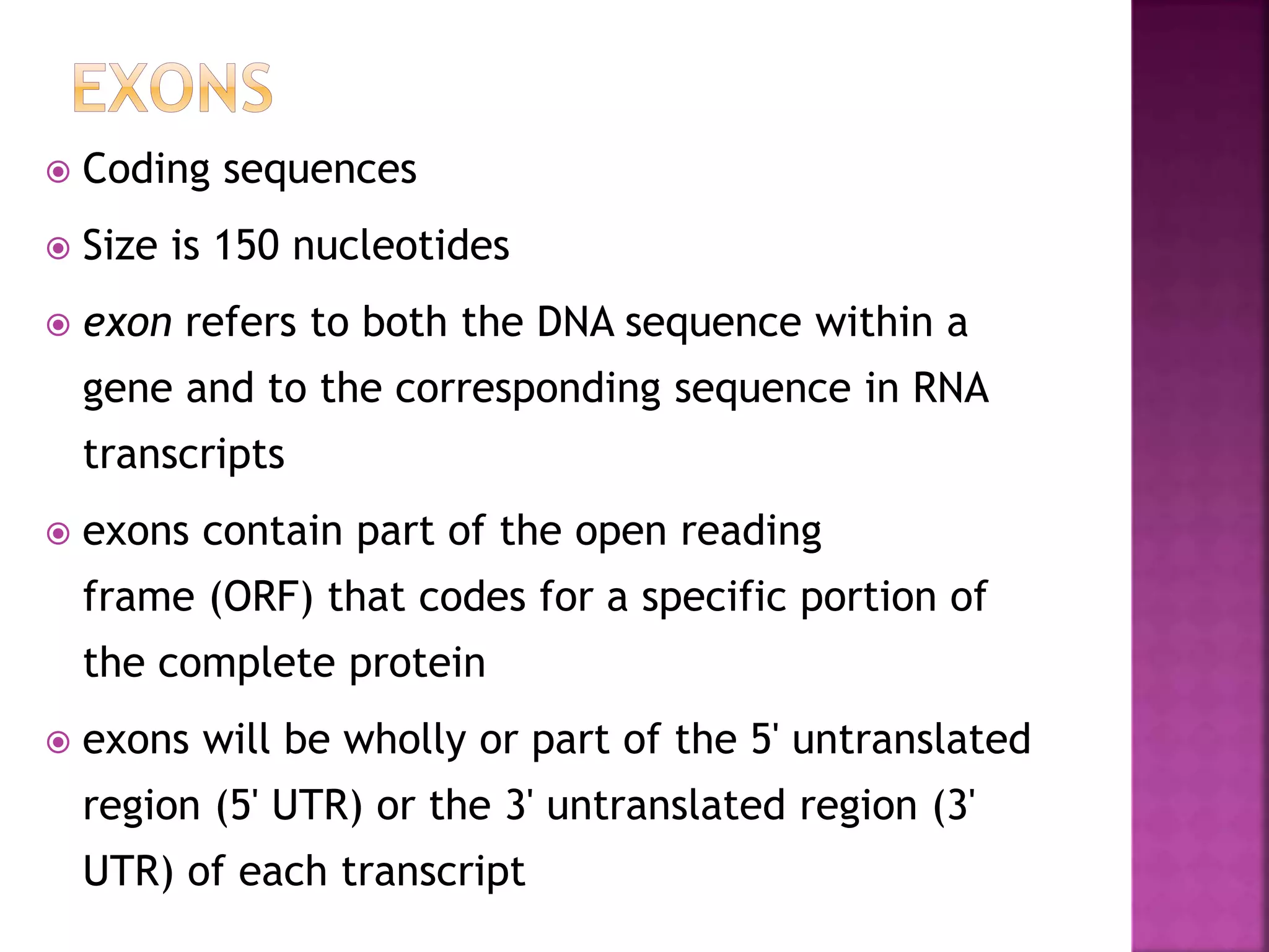 eukaryotic gene structure | PPTX