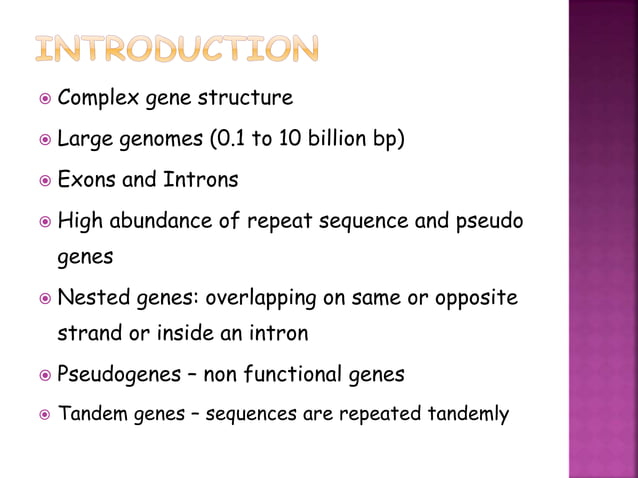 eukaryotic gene structure | PPTX