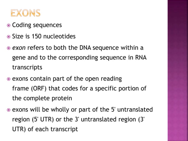 eukaryotic gene structure | PPTX