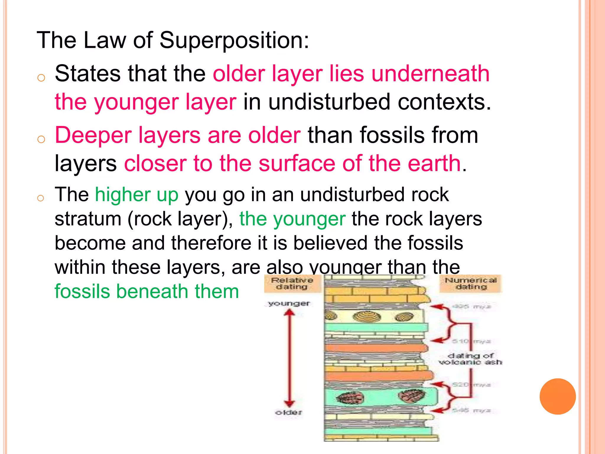 Unit 6 history of life on earth | PPTX