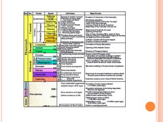 Unit 6 history of life on earth | PPTX