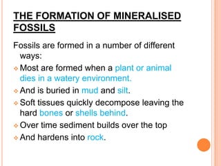 Unit 6 history of life on earth | PPTX | Geology | Science