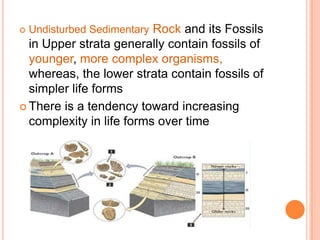 Unit 6 history of life on earth | PPTX | Geology | Science